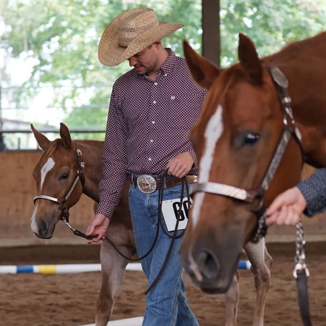 CL Pferde – Circle L Ranch