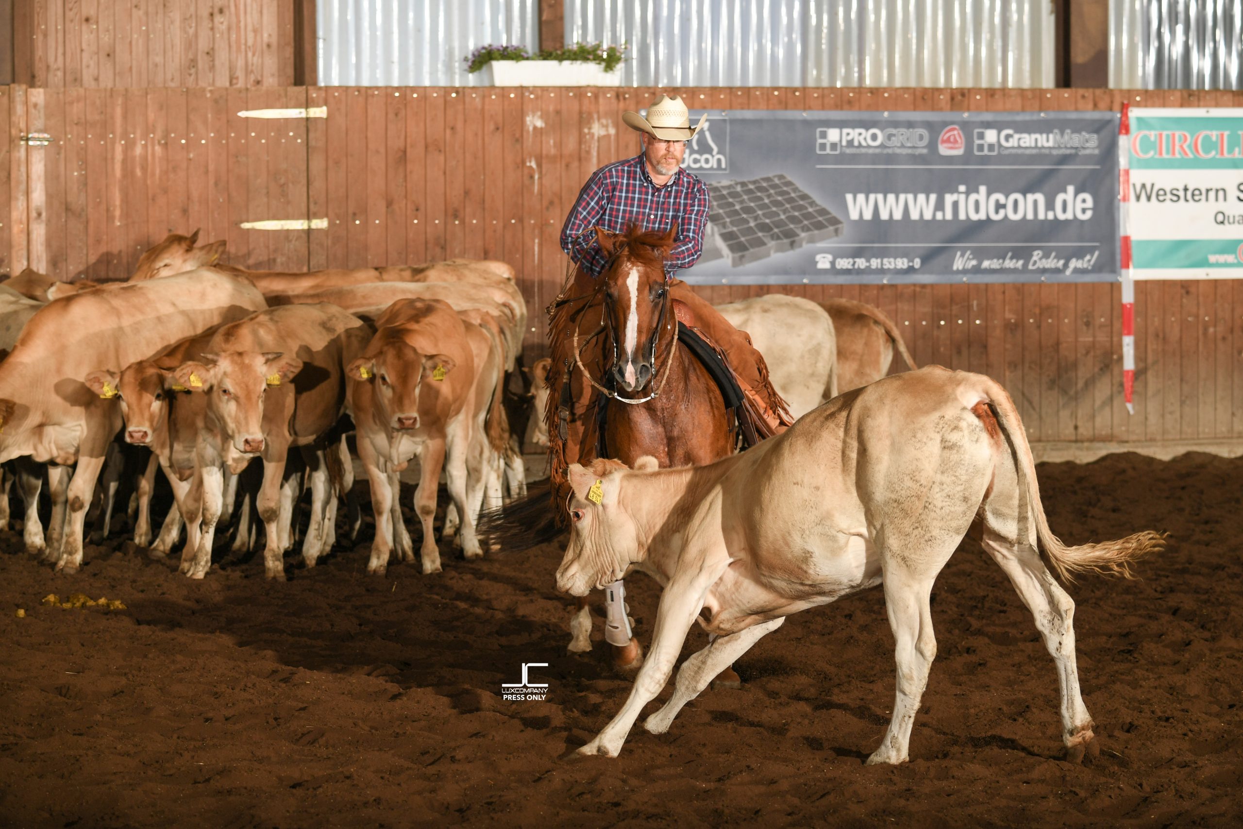 NRCHA Easter Cow Classic mit Abendshow – Circle L Ranch